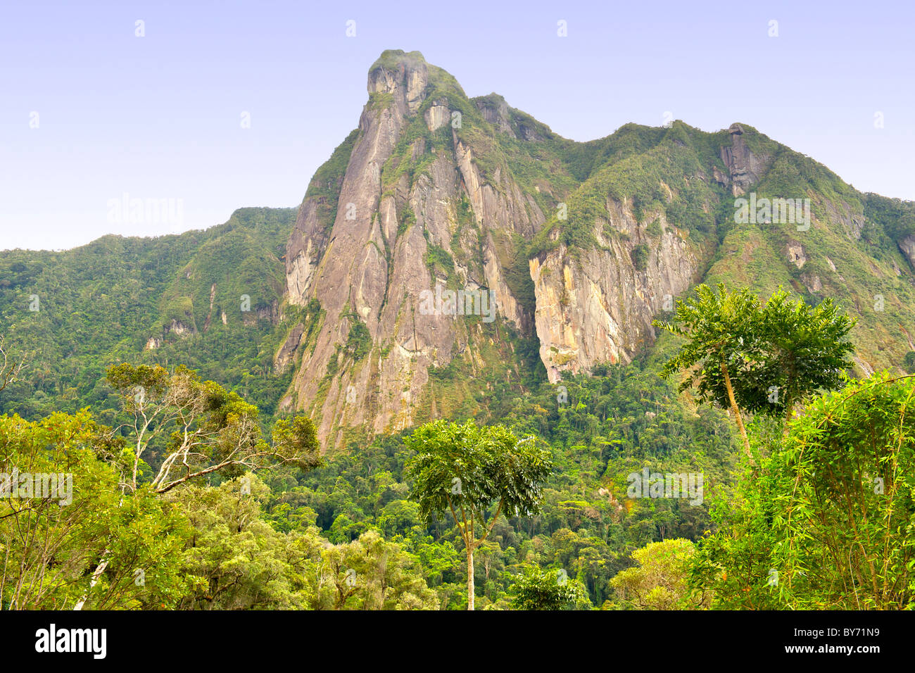 Madagascar rainforest landscape hi-res stock photography and images - Alamy