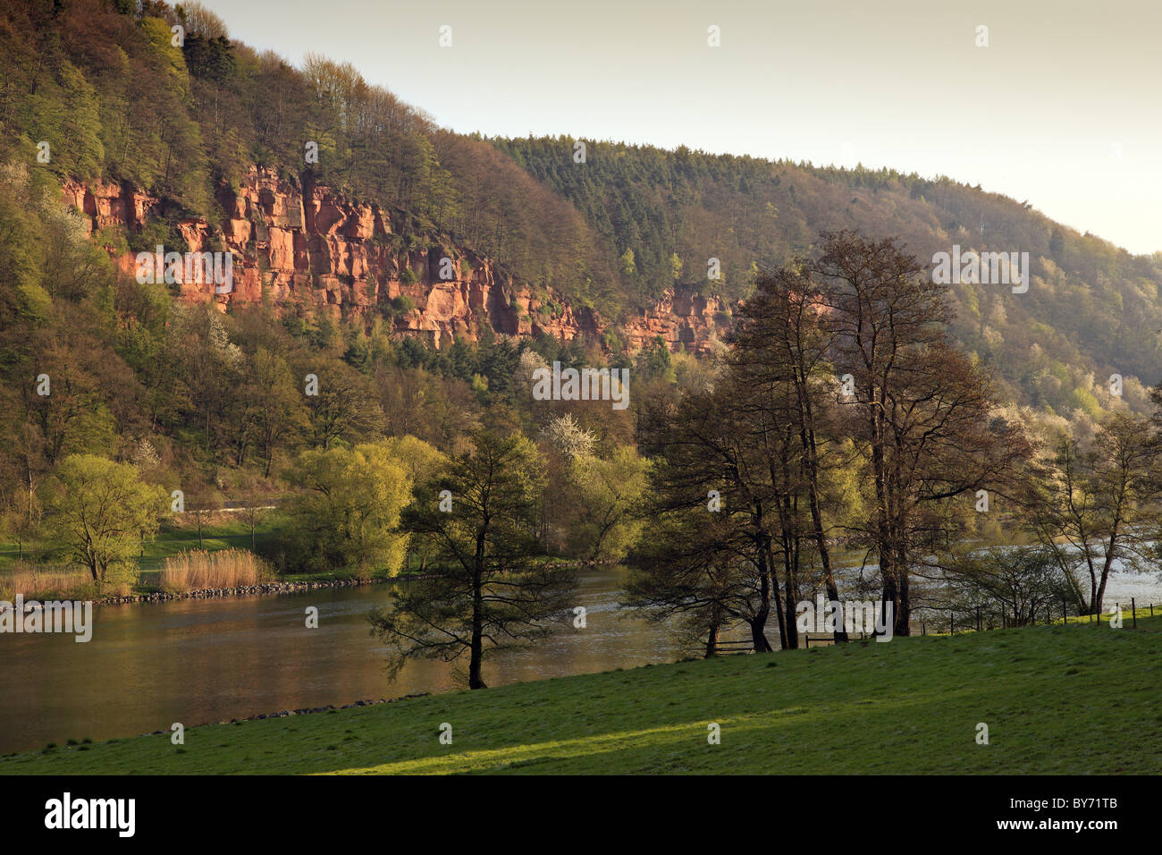 Alder and sandstone rocks at the riverside, near Freudenberg, Main ...