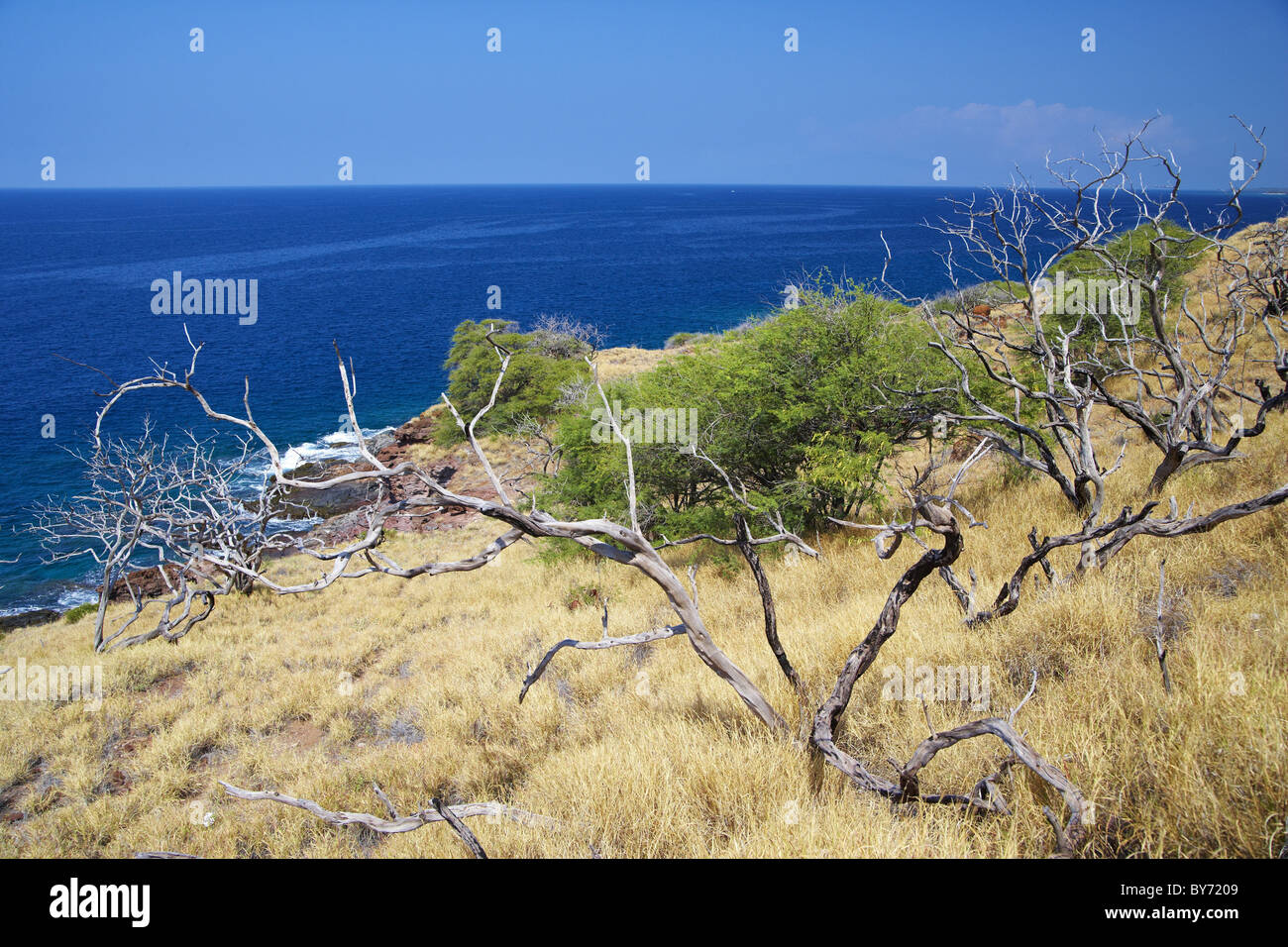 View from Papawai Point at the ocean, Maui, Hawaii, USA, America Stock ...