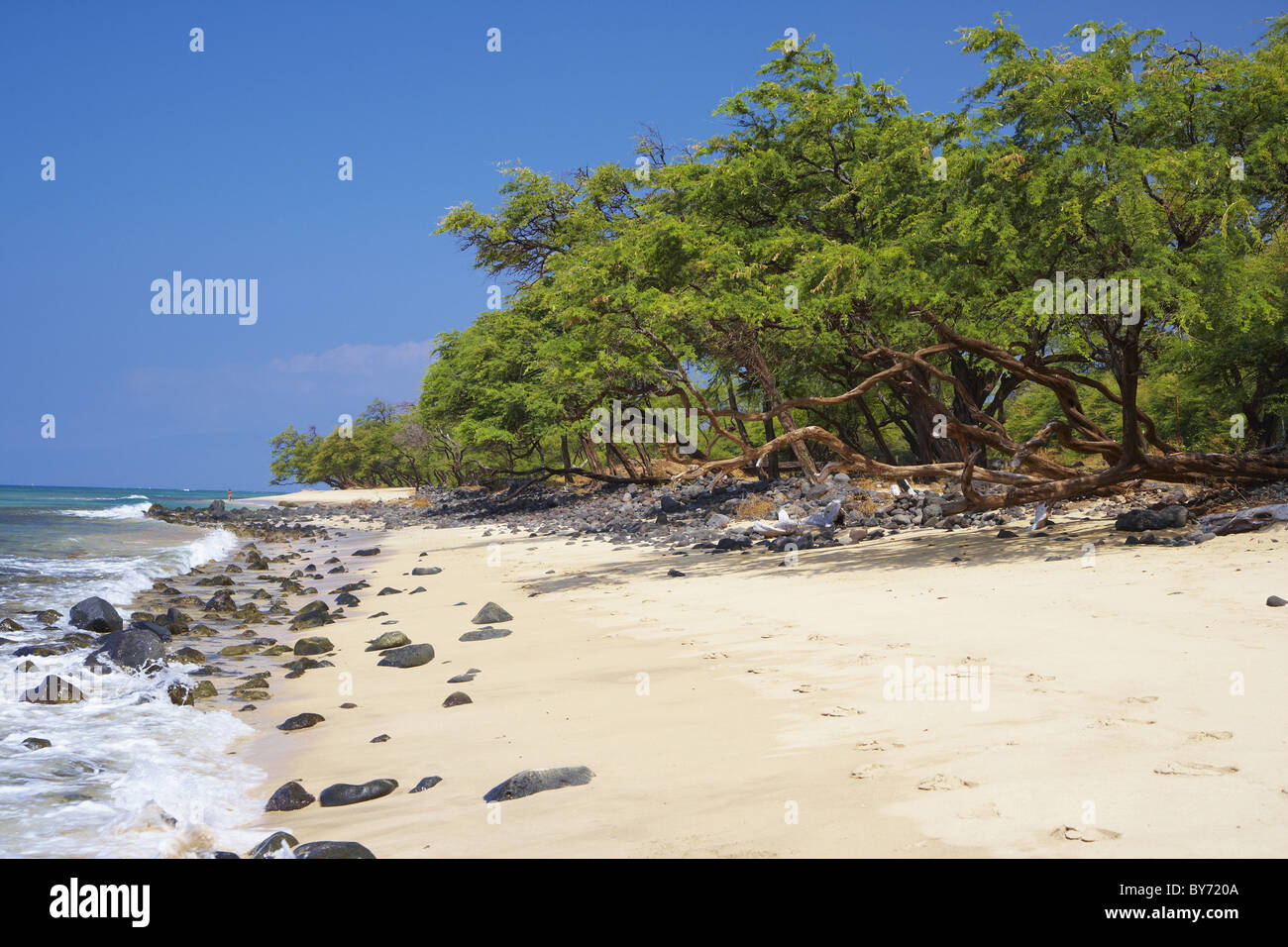 Papalua hi-res stock photography and images - Alamy