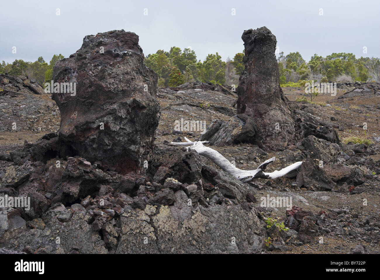 Lava rocks at Hawaii Volcanoes National Park, Chain of Craters Road ...