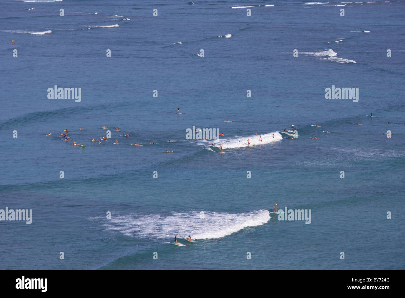 Surfer in the sea in the morning, Waikiki Beach, Honolulu, Oahu, Hawaii ...
