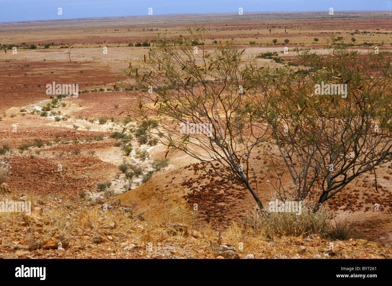 Channel country australia hi-res stock photography and images - Alamy