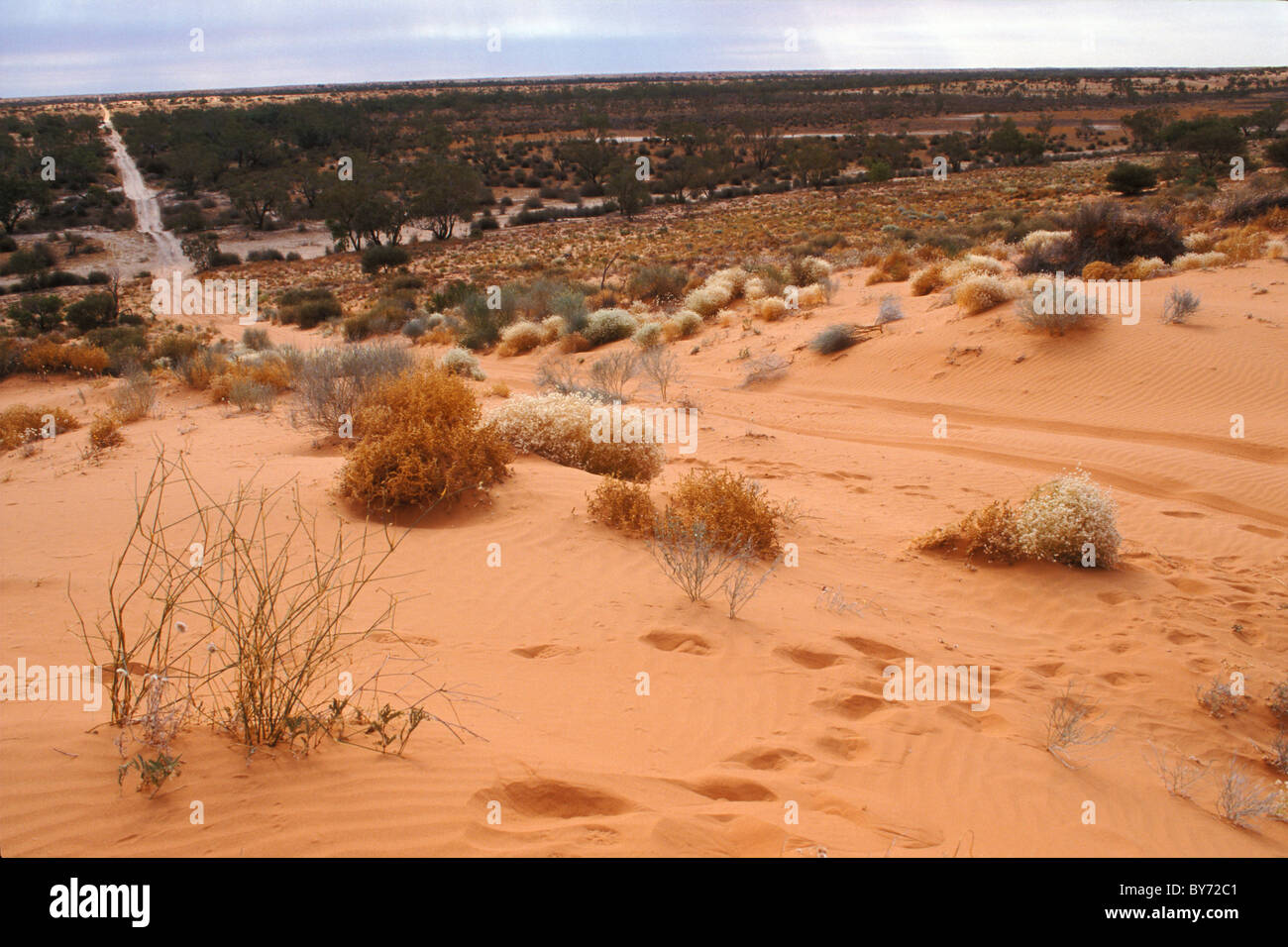 Sand dune country, Simpson Desert, South Australia Stock Photo - Alamy