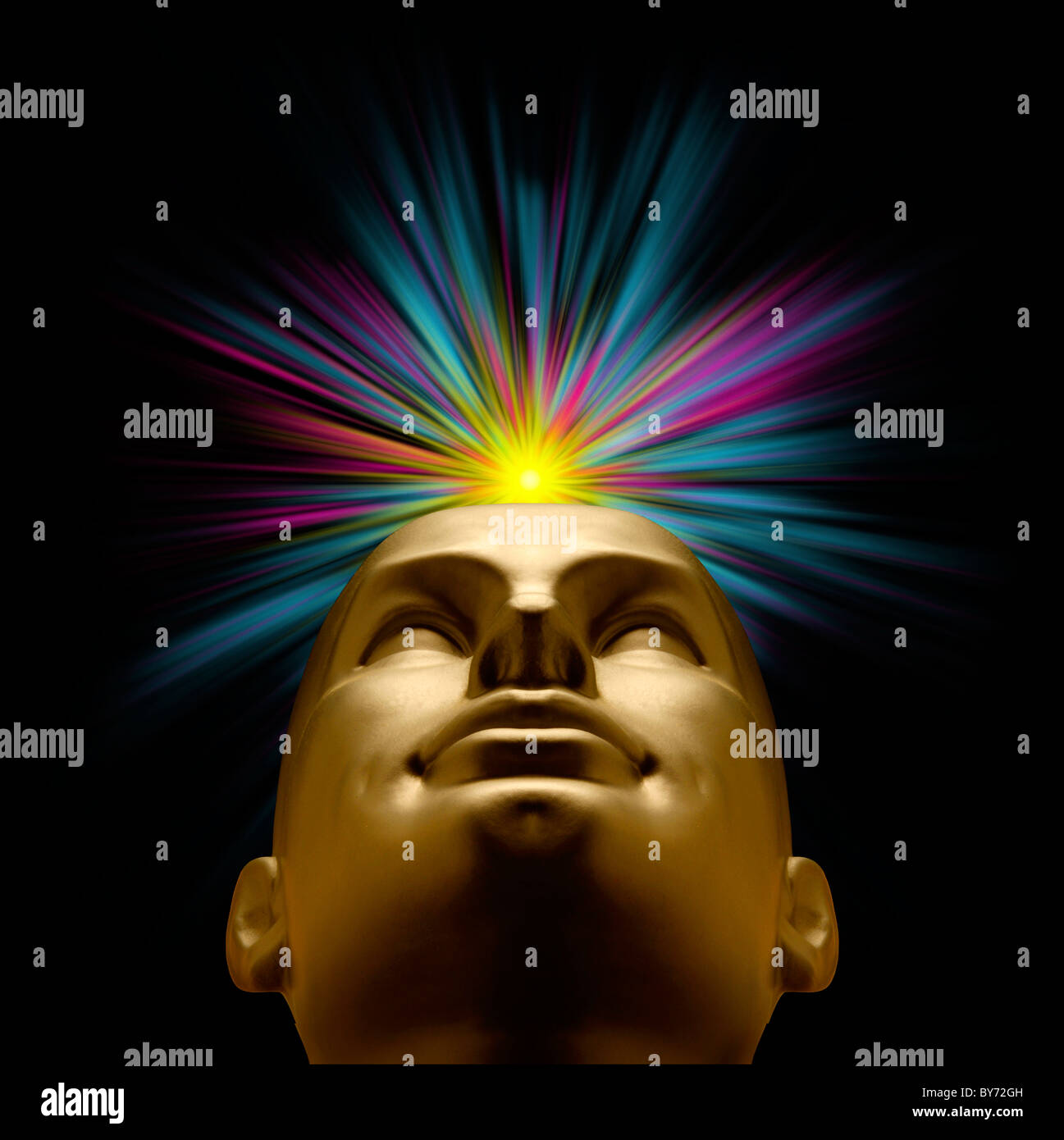 Head Cradle Part Explosion