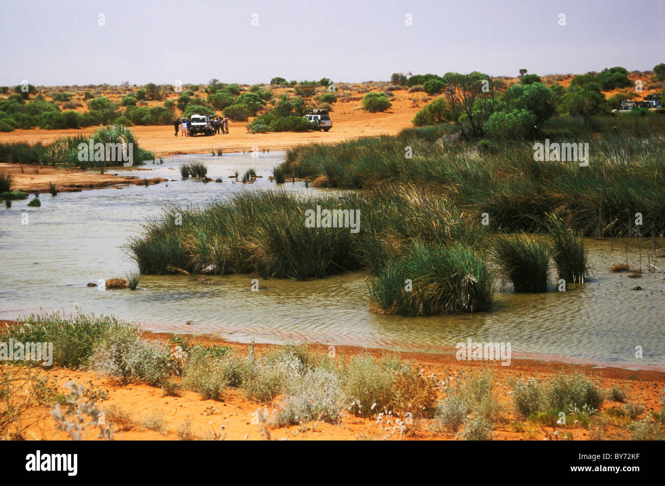 Purnie Bore, the last surface water before entering the dunes of the ...