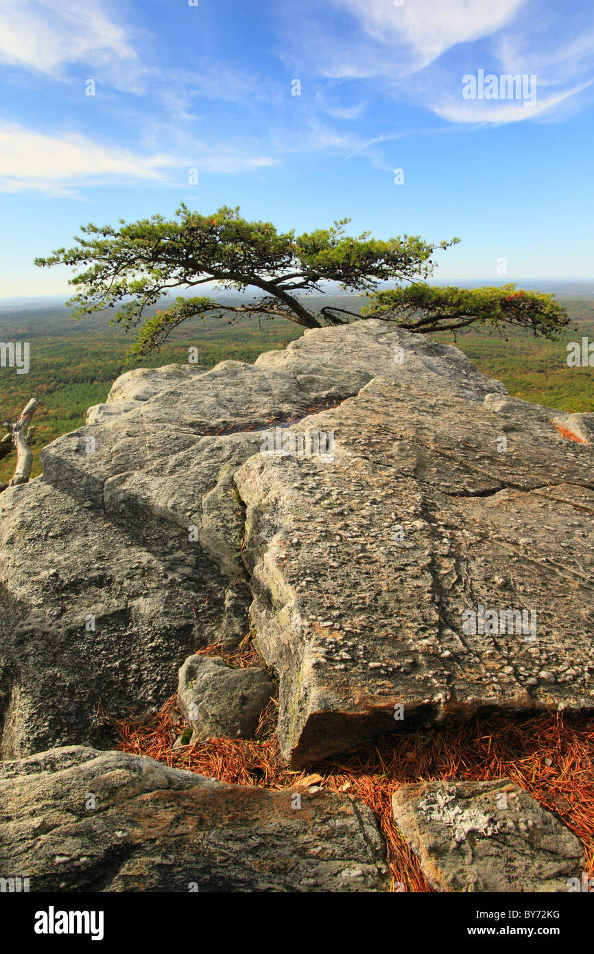 Cheaha state park hi-res stock photography and images - Alamy
