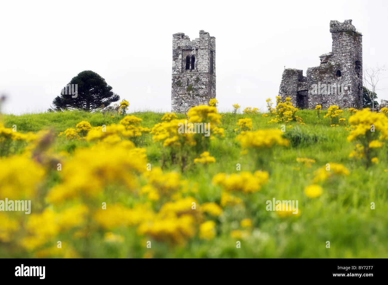 Slane Abbey, County Meath, Ireland Stock Photo - Alamy