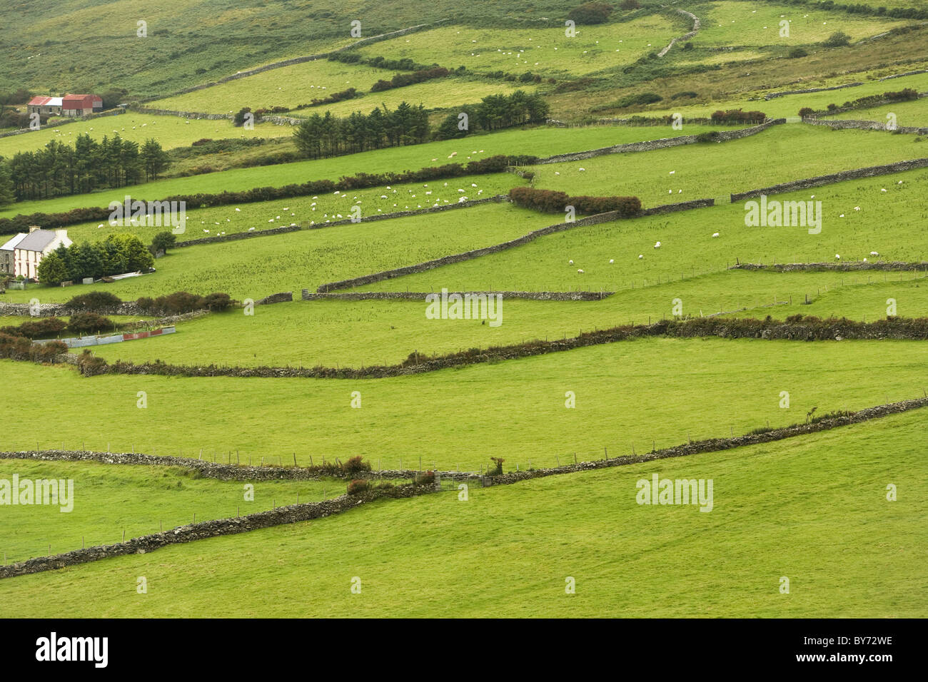 Beenoskee Hills, Dingle Peninsula, County Kerry, Ireland Stock Photo ...