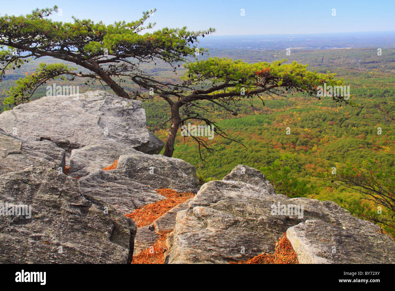Pulpit Rock Trail, Cheaha State Park, Delta, Alabama, USA Stock Photo ...