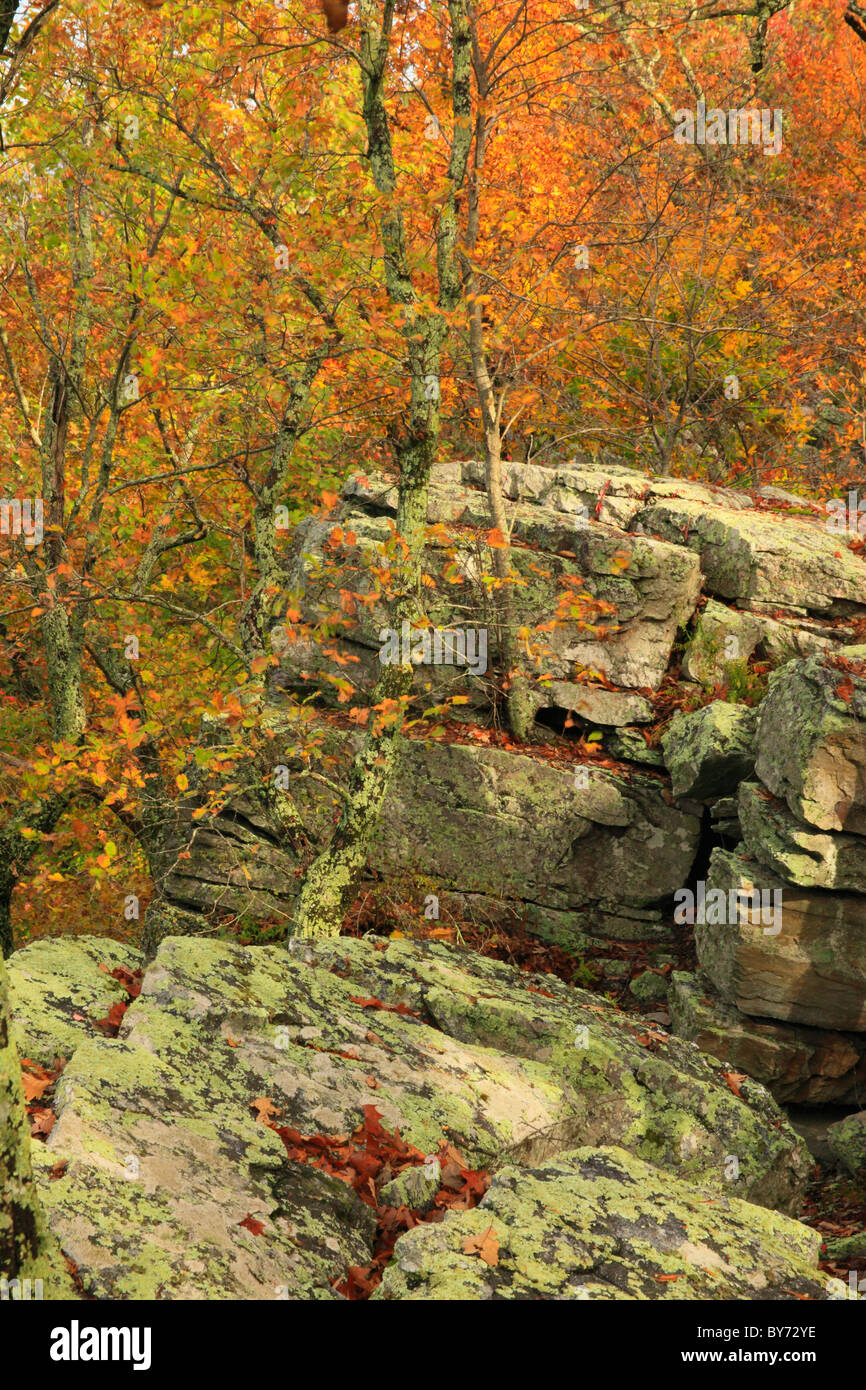 Talladega mountain hi-res stock photography and images - Alamy