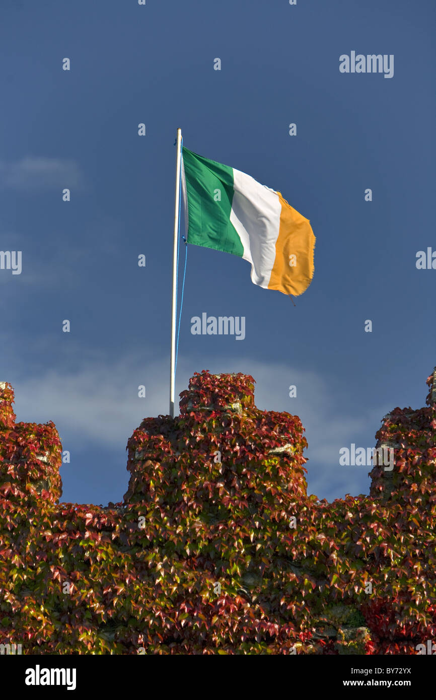 Irish flag hi-res stock photography and images - Alamy