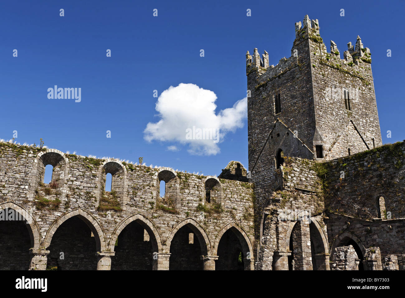 Jerpoint abbey tower hi-res stock photography and images - Alamy