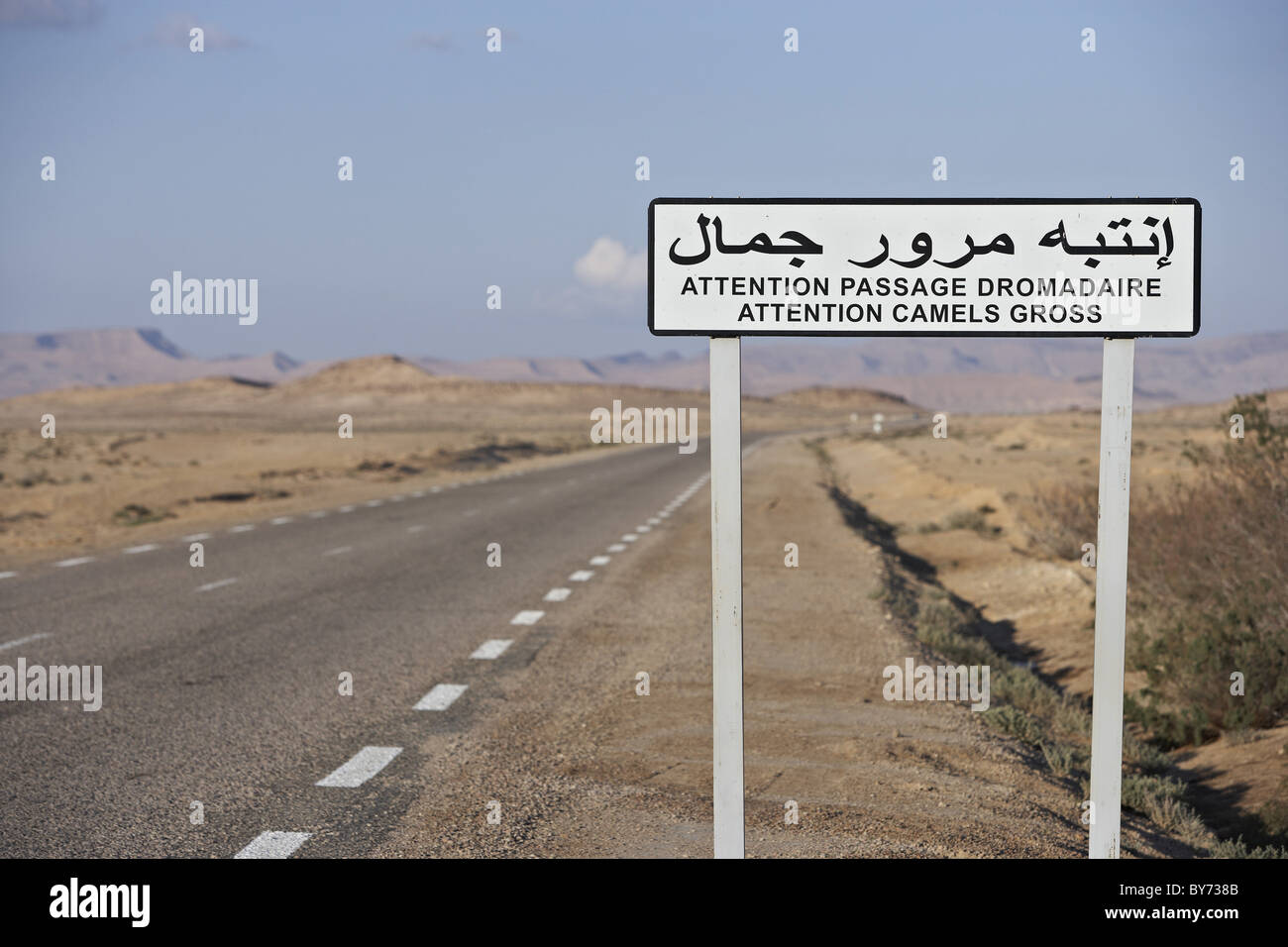 Camel crossing warning sign at the roadside, Tunesia, Africa Stock ...