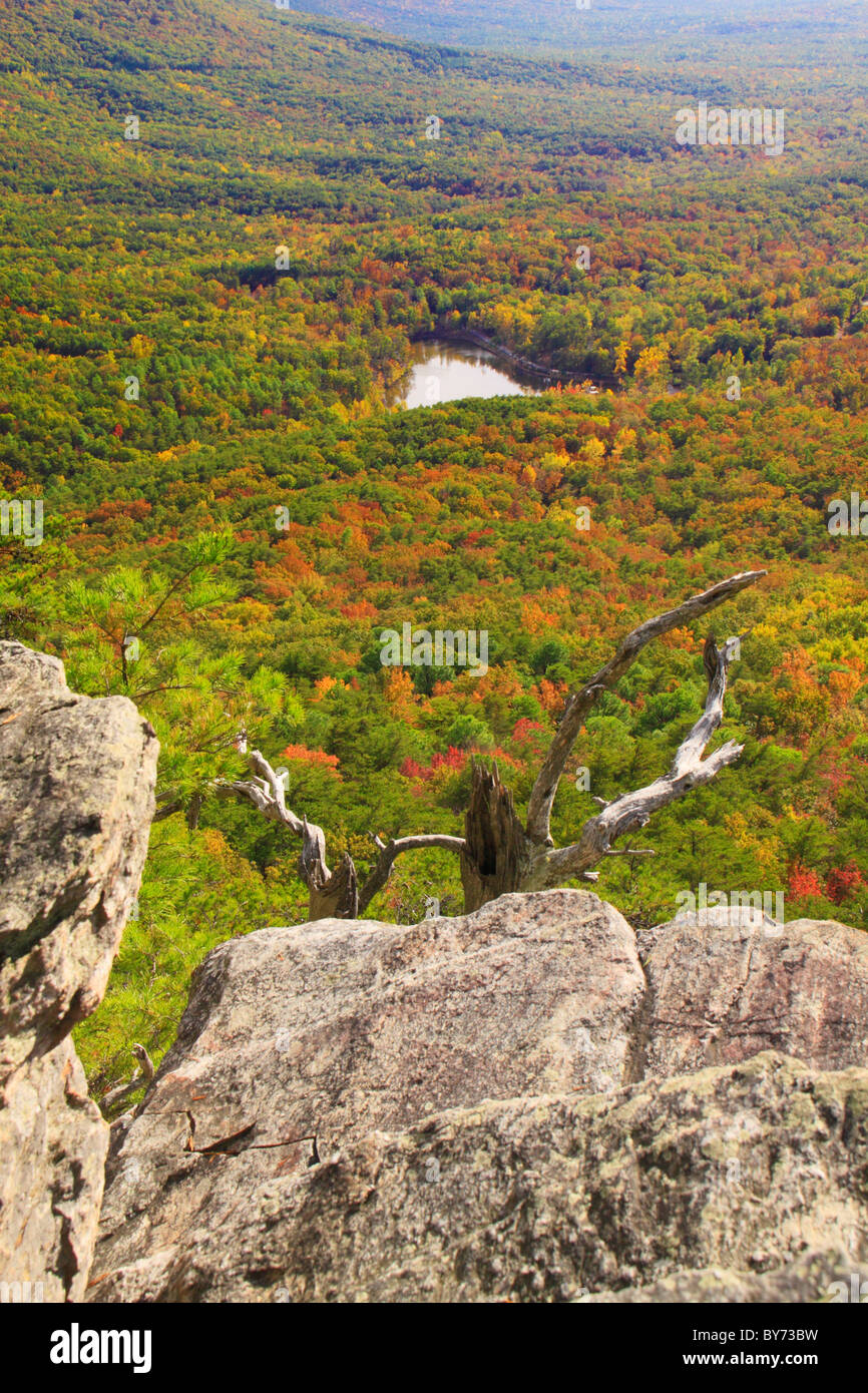 Rock Gardens Trail, Cheaha State Park, Delta, Alabama, USA Stock Photo ...