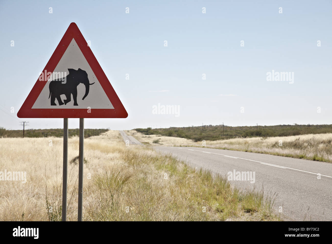 warning sign elephants crossing, Namibia, Africa Stock Photo - Alamy
