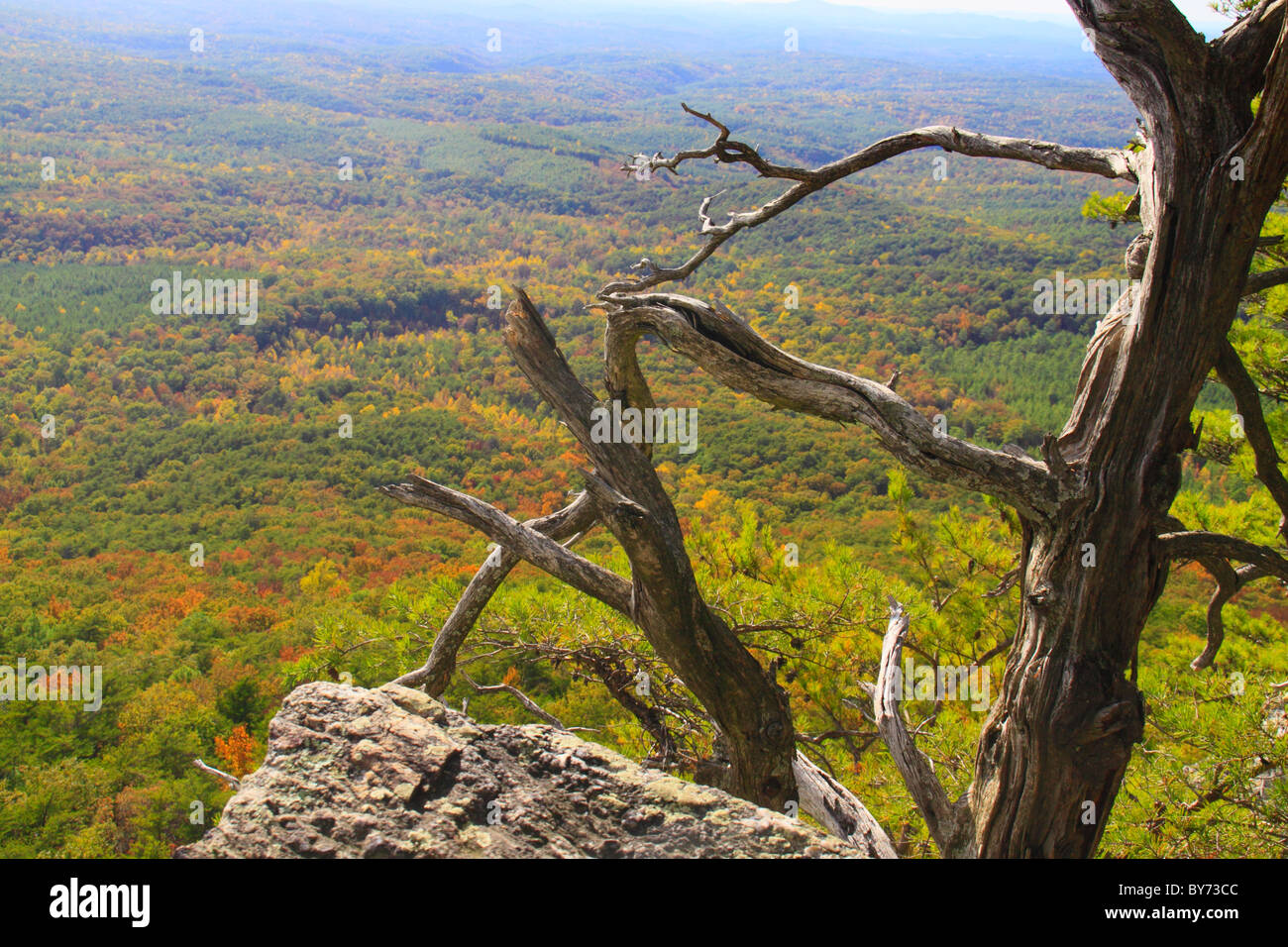Cheaha mountain alabama hi-res stock photography and images - Alamy