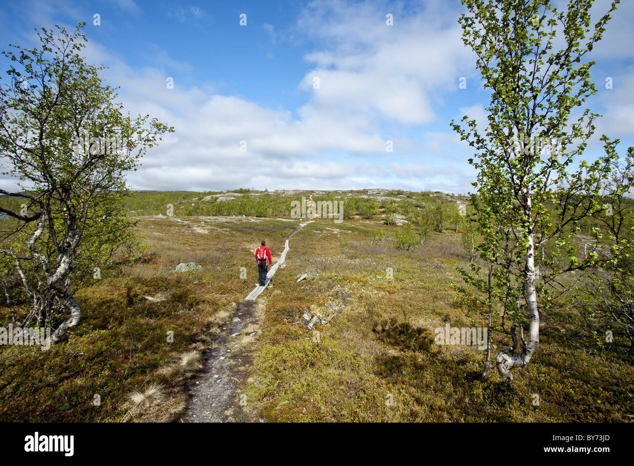 Tree cloud norway lapland hi-res stock photography and images - Alamy