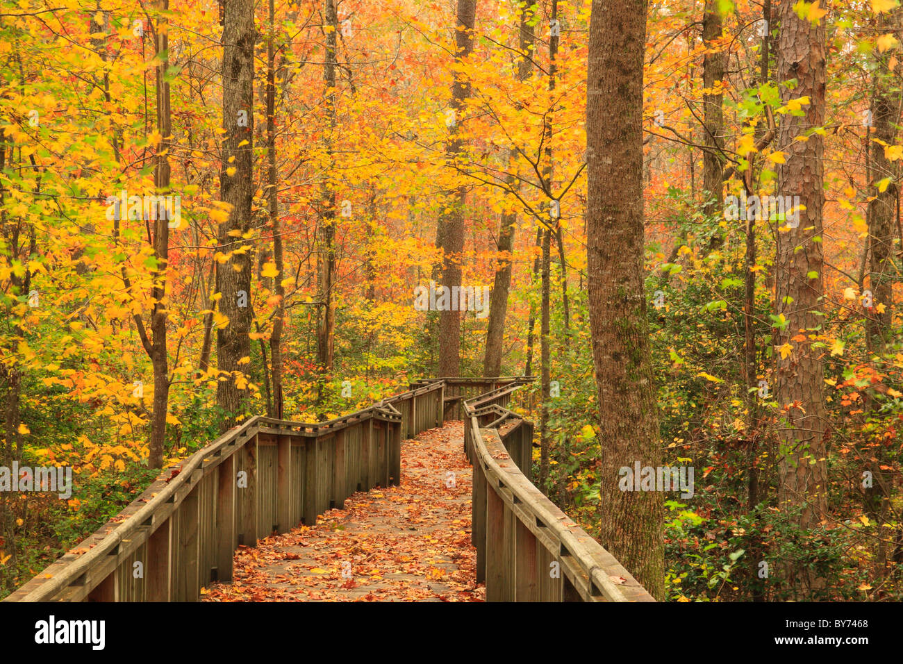 Azalea cascade trail hi-res stock photography and images - Alamy
