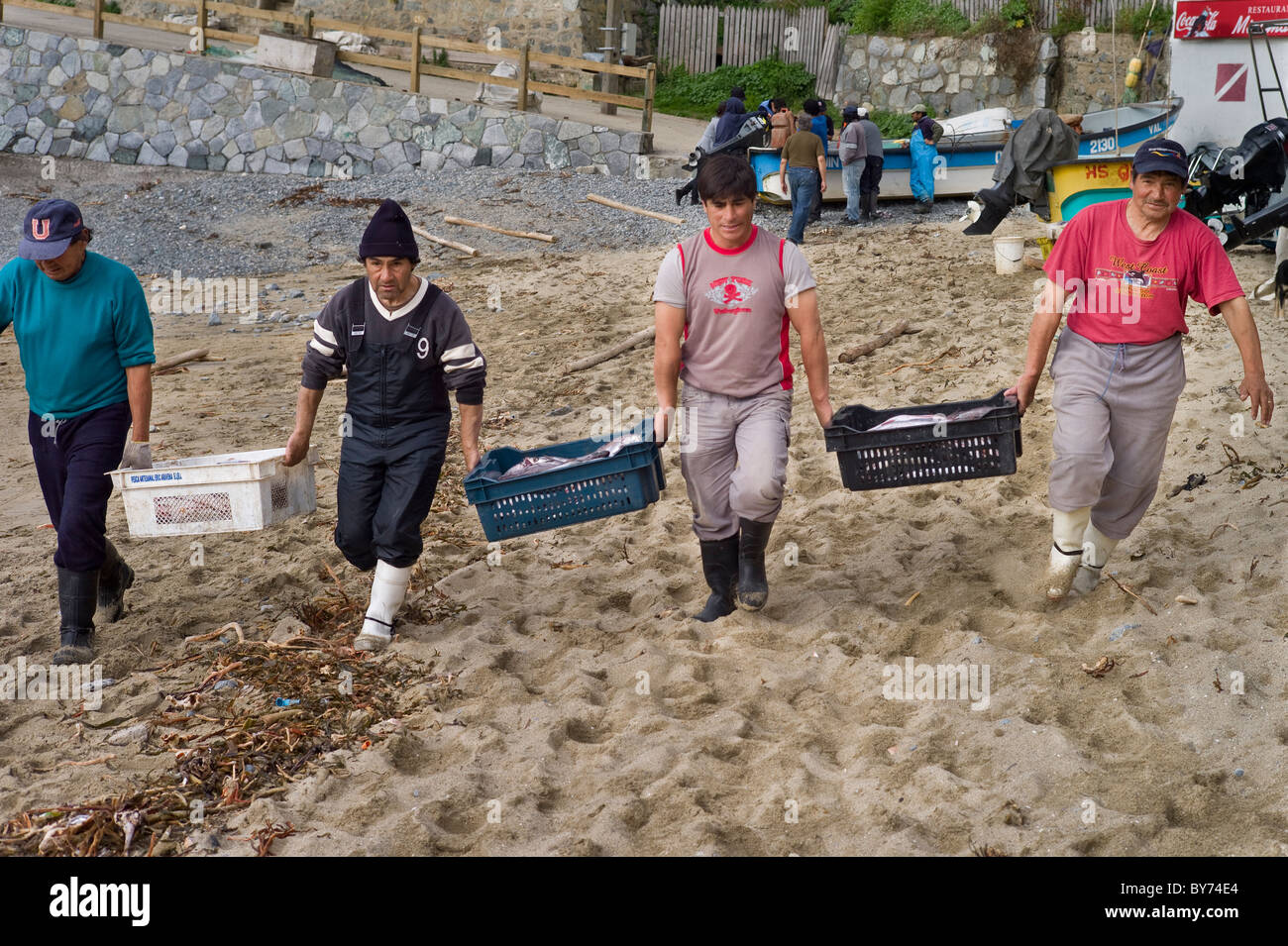 Walking fish hi-res stock photography and images - Alamy