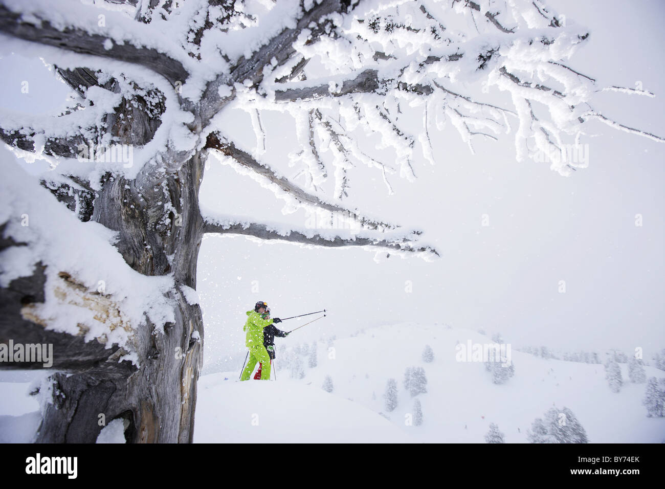 Male free skiers in deep snow, Mayrhofen, Ziller river valley, Tyrol ...