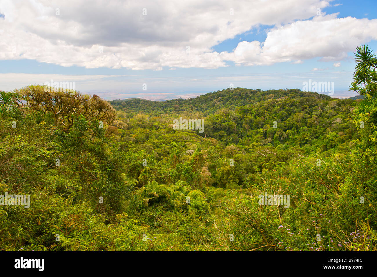 View out over the rainforest of Montagne D'Ambre National Park in ...