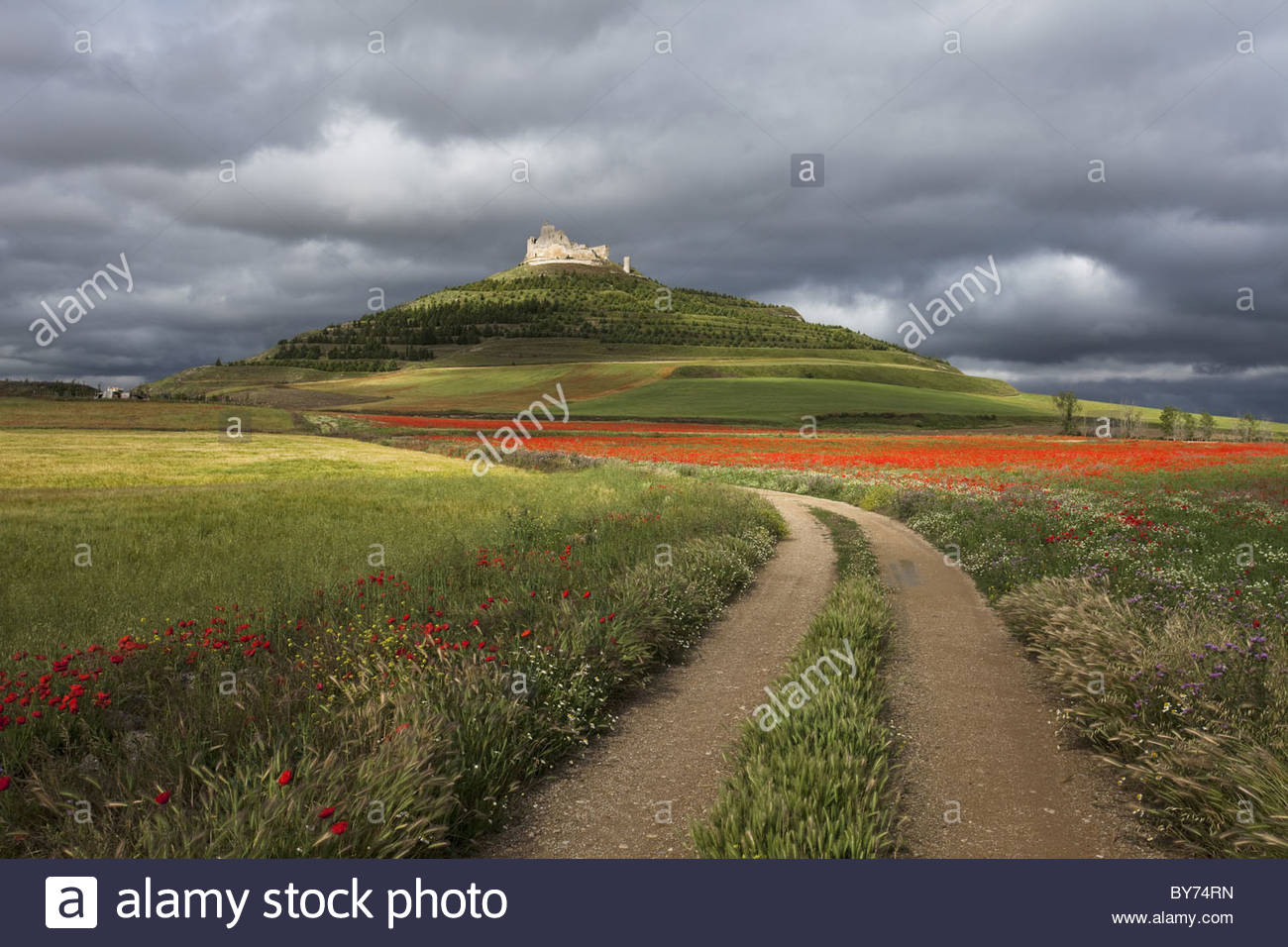 Castrojeriz Castle Stock Photos & Castrojeriz Castle Stock Images - Alamy
