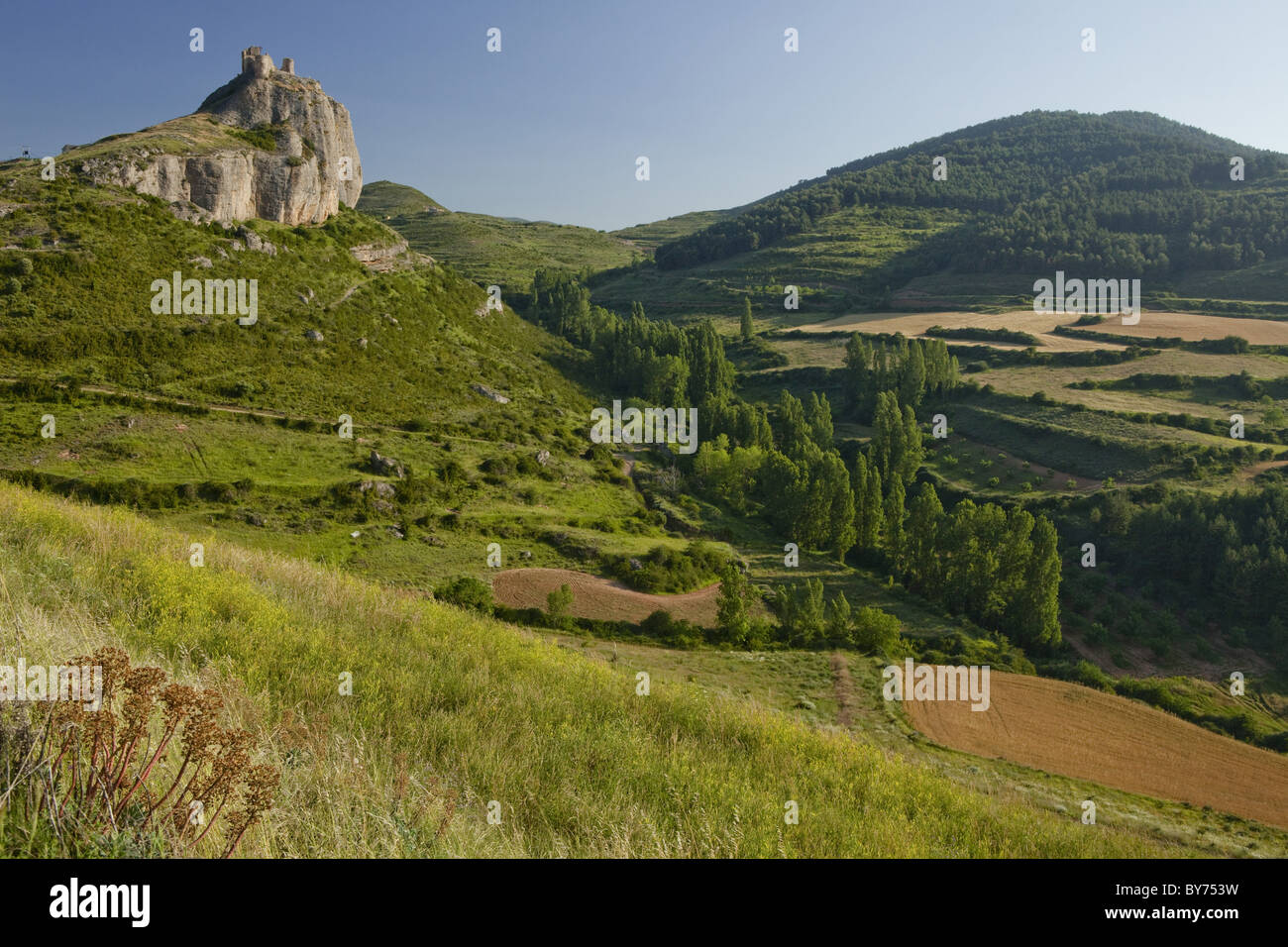 Castillo de Clavijo, castle, fortress near Logrono, Camino Frances, Way ...