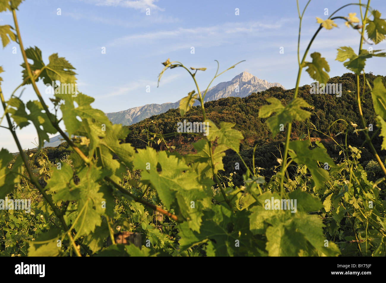 Mylopotamos High Resolution Stock Photography and Images - Alamy