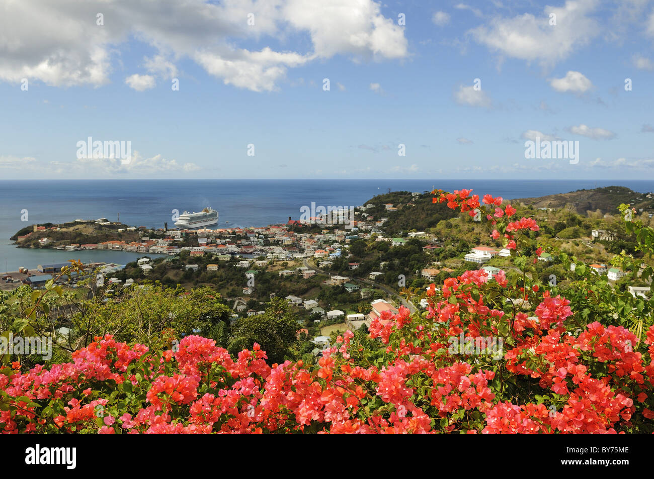 Grenada caribbean flowers hi-res stock photography and images - Alamy