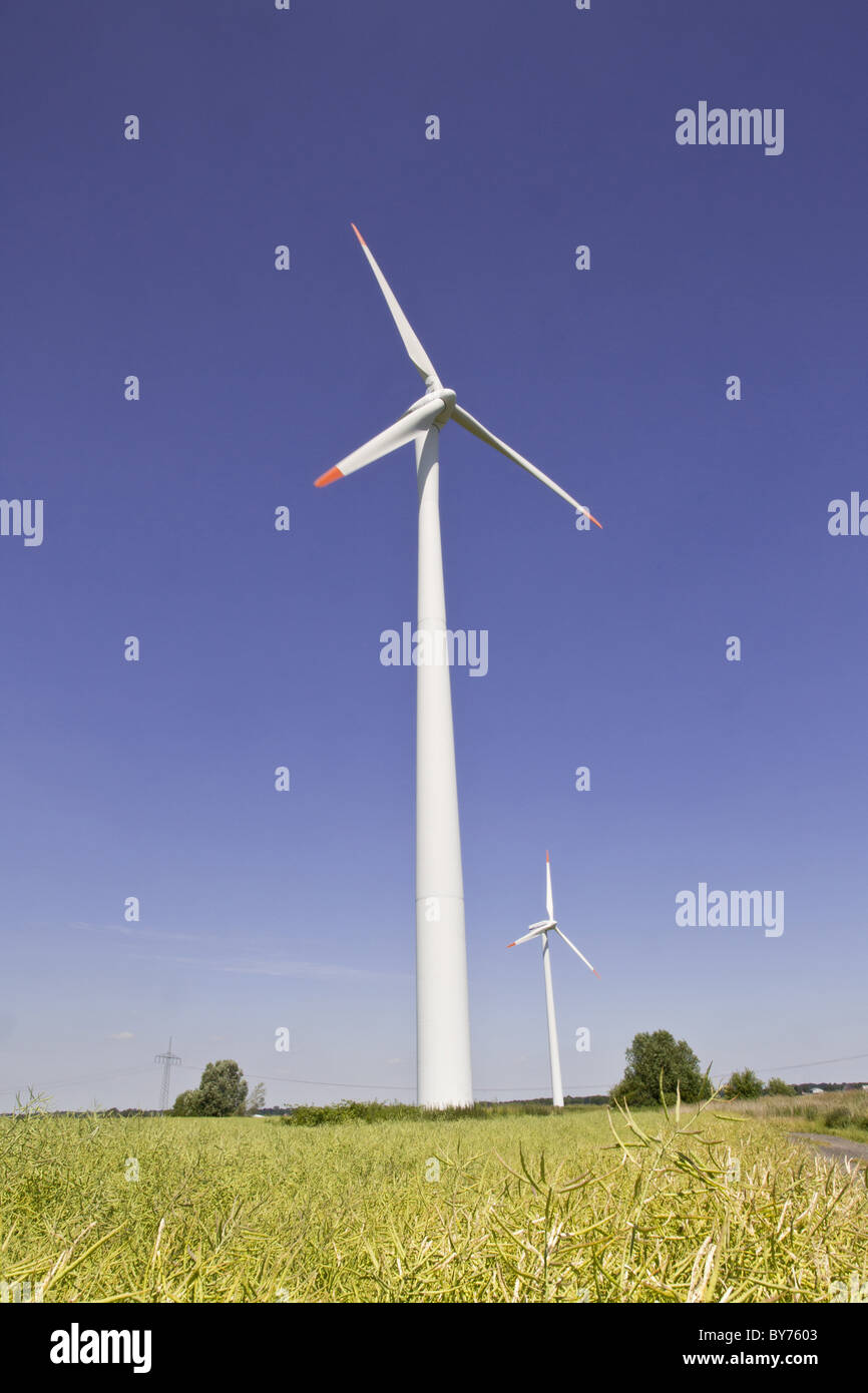 Dithmarschen hi-res stock photography and images - Alamy