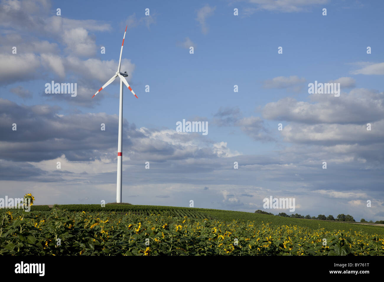 Biebelried hi-res stock photography and images - Alamy