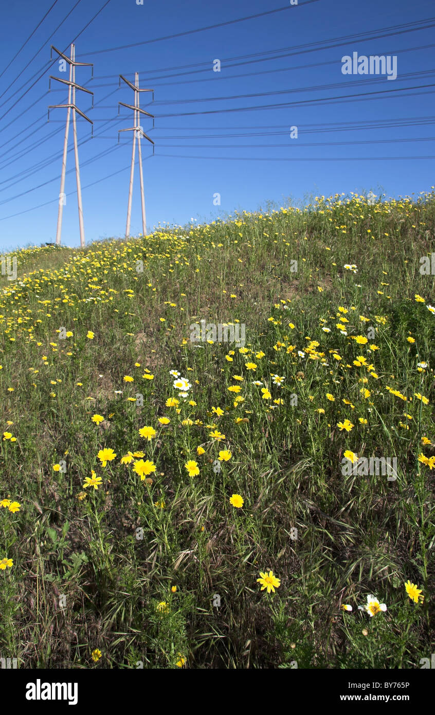 Green transmission line usa hi-res stock photography and images - Alamy