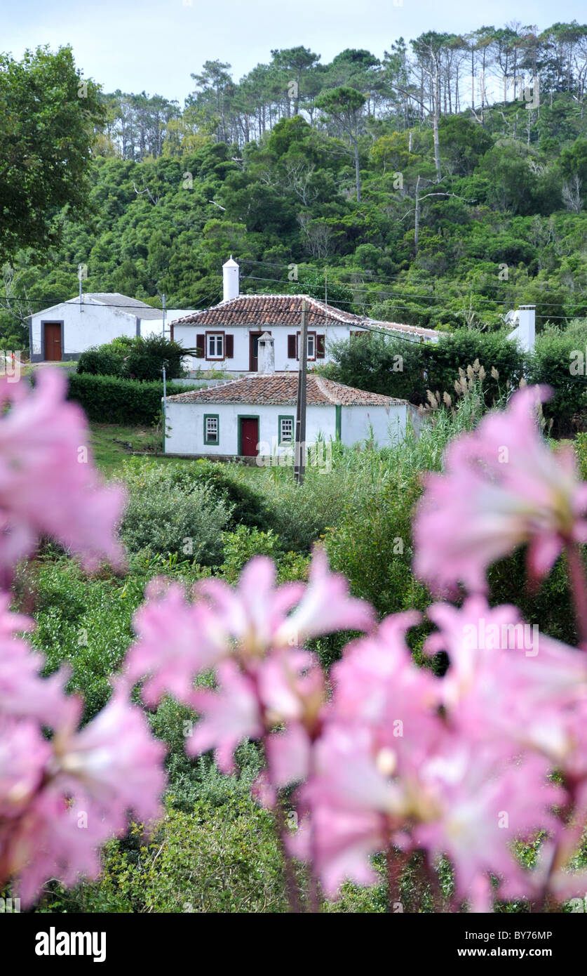 Buildings at the north coast, Island of Santa Maria, Azores, Portugal ...