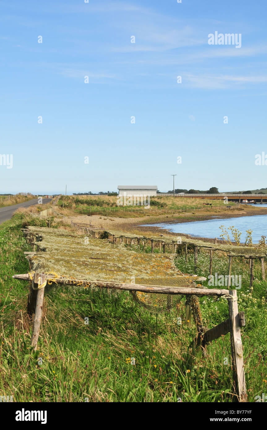 Empty fish racks hi-res stock photography and images - Alamy