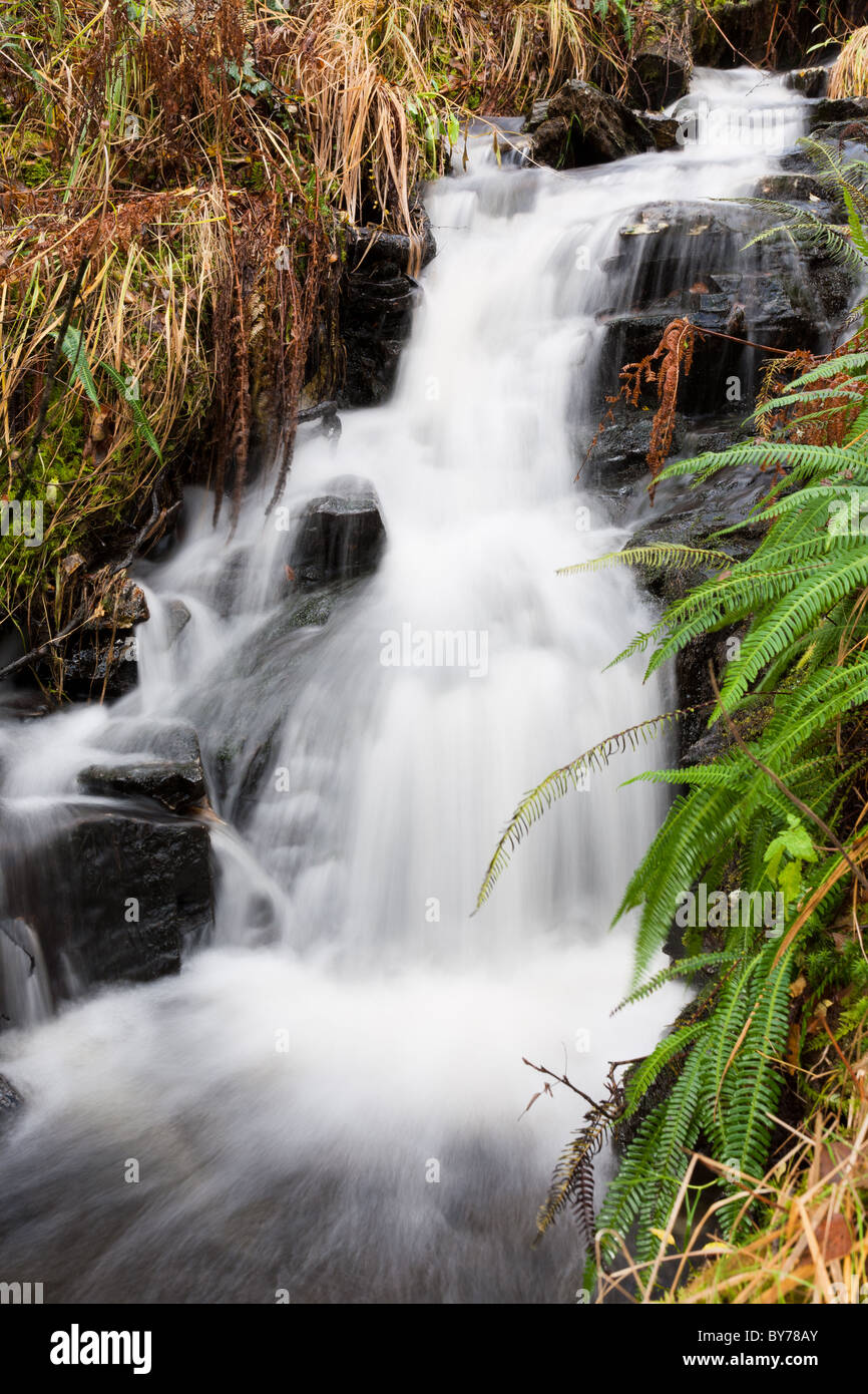 Rushing waters of the river Falloch flowing from the Falls of Falloch ...