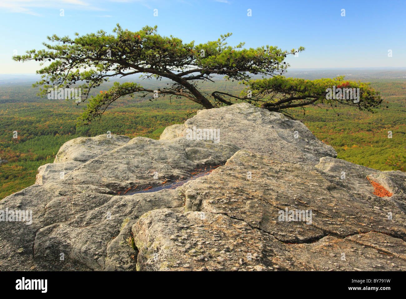 Pulpit Rock Trail, Cheaha State Park, Delta, Alabama, USA Stock Photo ...