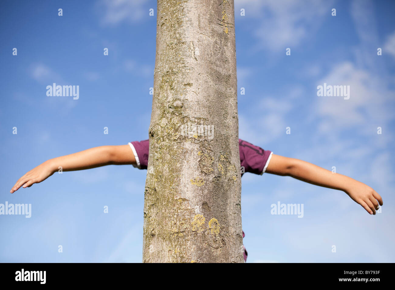 kid hands behind a tree trunk Stock Photo - Alamy