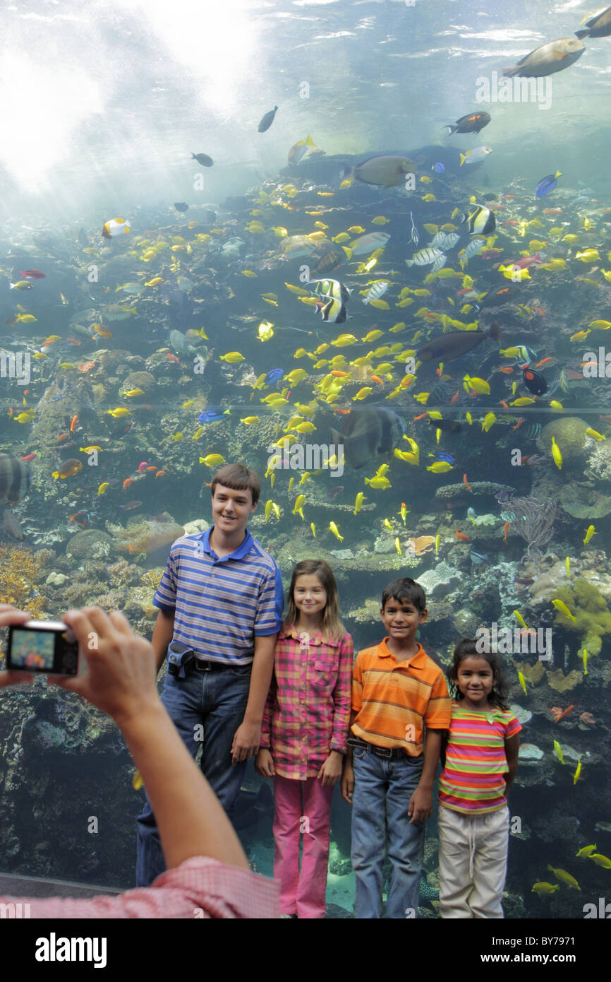 Atlanta Georgia,Pemberton Place,Georgia Aquarium,habitat,marine life ...