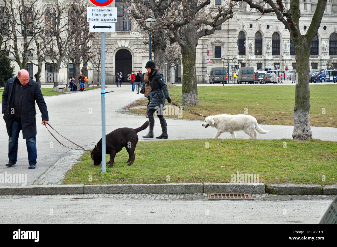 Vienna, Austria: exercising dogs in a park Stock Photo - Alamy