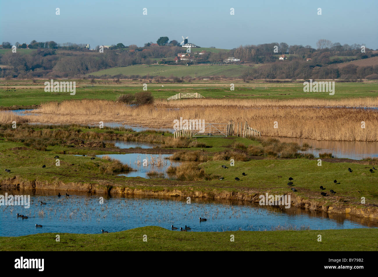 View Across The Marshland and Pett Pools At Pett Level Towards ...