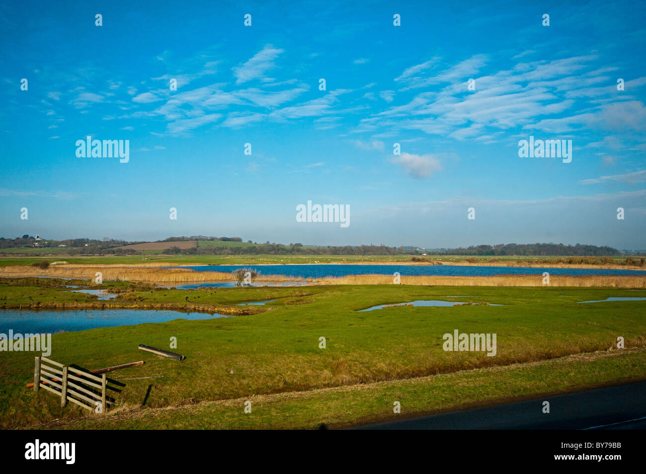 Marshland wetland pools hi-res stock photography and images - Alamy