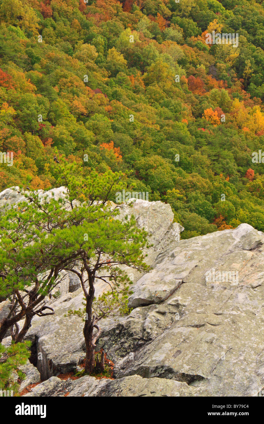 Talladega mountain hi-res stock photography and images - Alamy