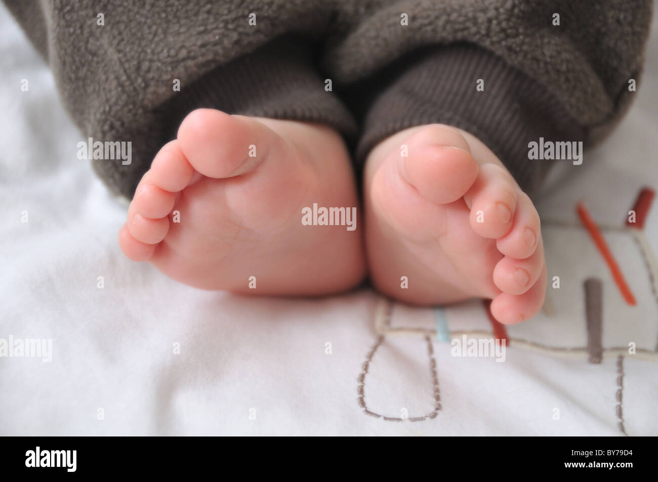 Cute baby's feet Stock Photo - Alamy