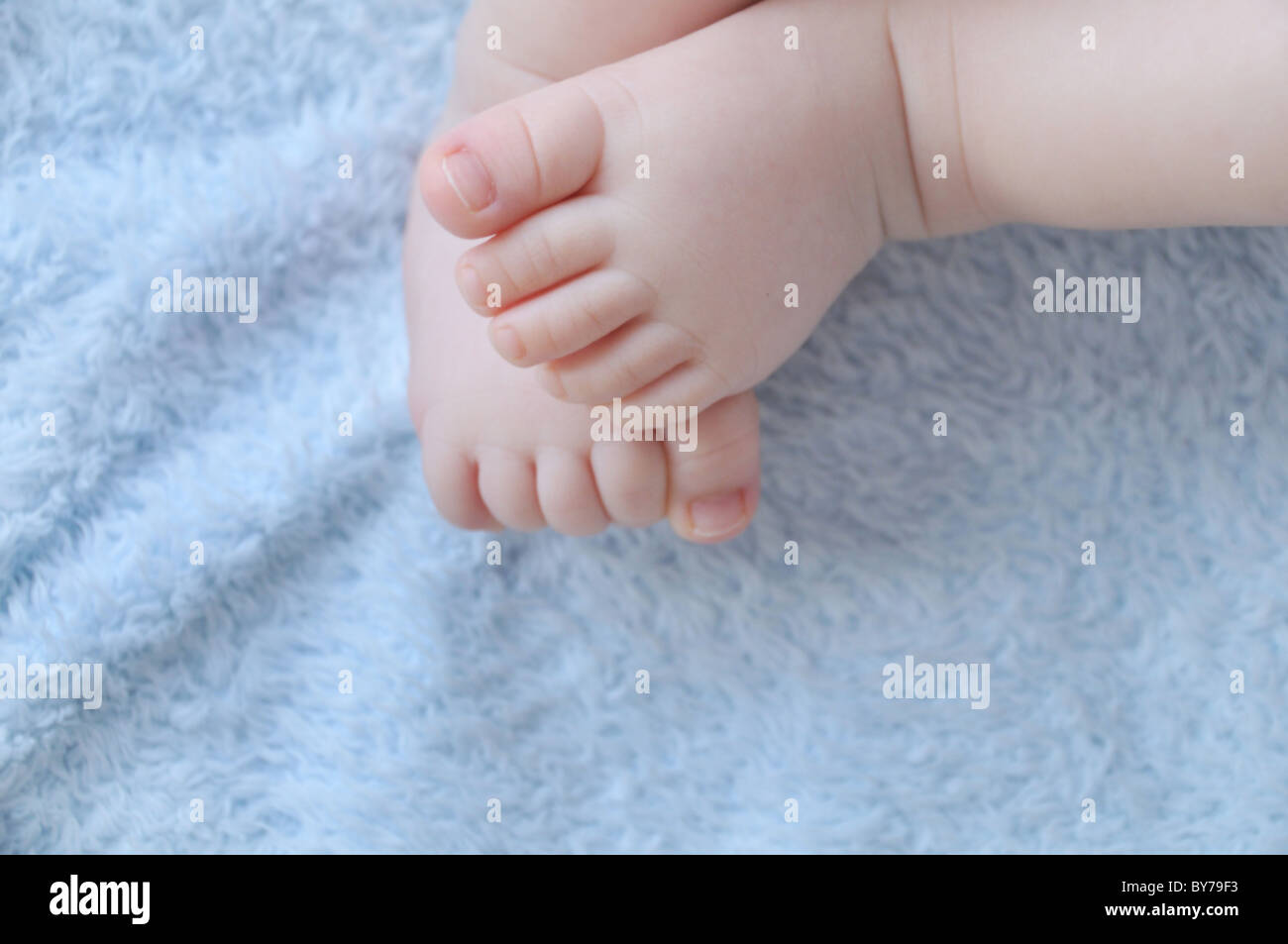 Cute baby's feet Stock Photo - Alamy