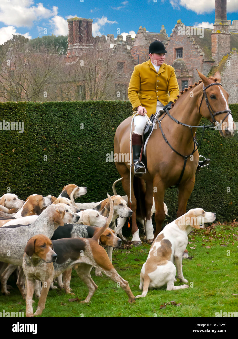 Uk foxhounds hi-res stock photography and images - Alamy