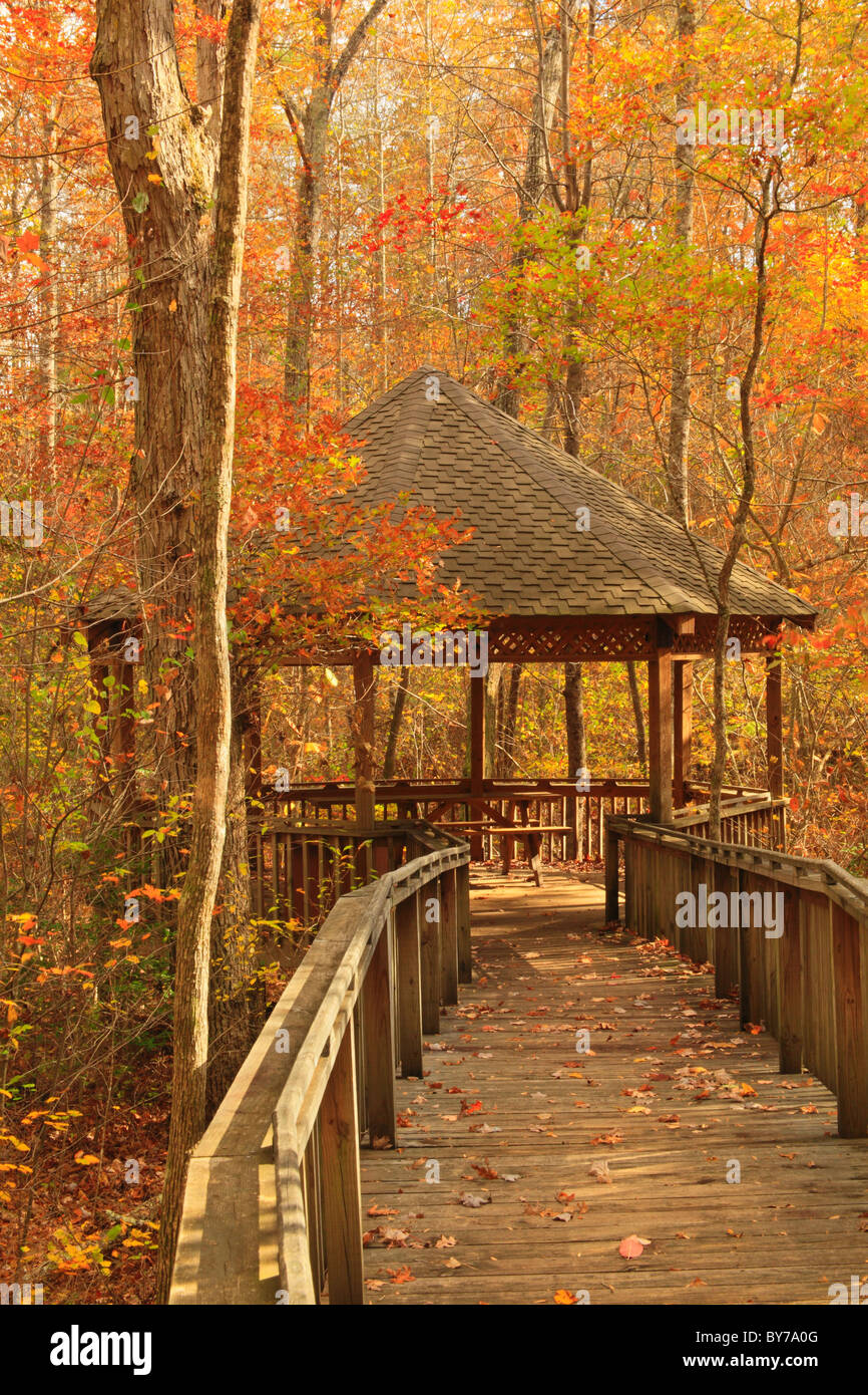 Talmadge Butler Boardwalk Trail, Azalea Cascade Trail, DeSoto State ...