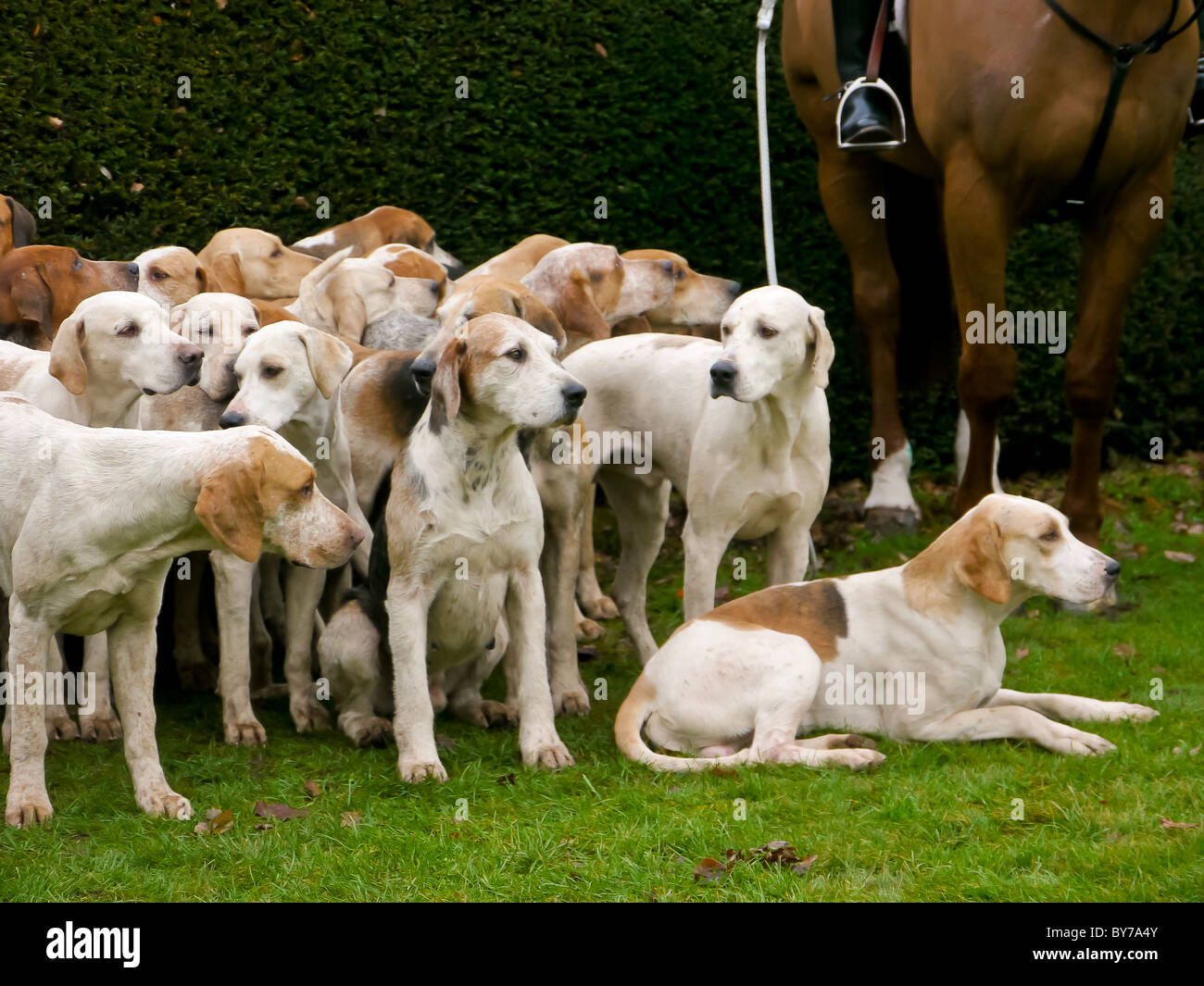 Don hunt hi-res stock photography and images - Alamy