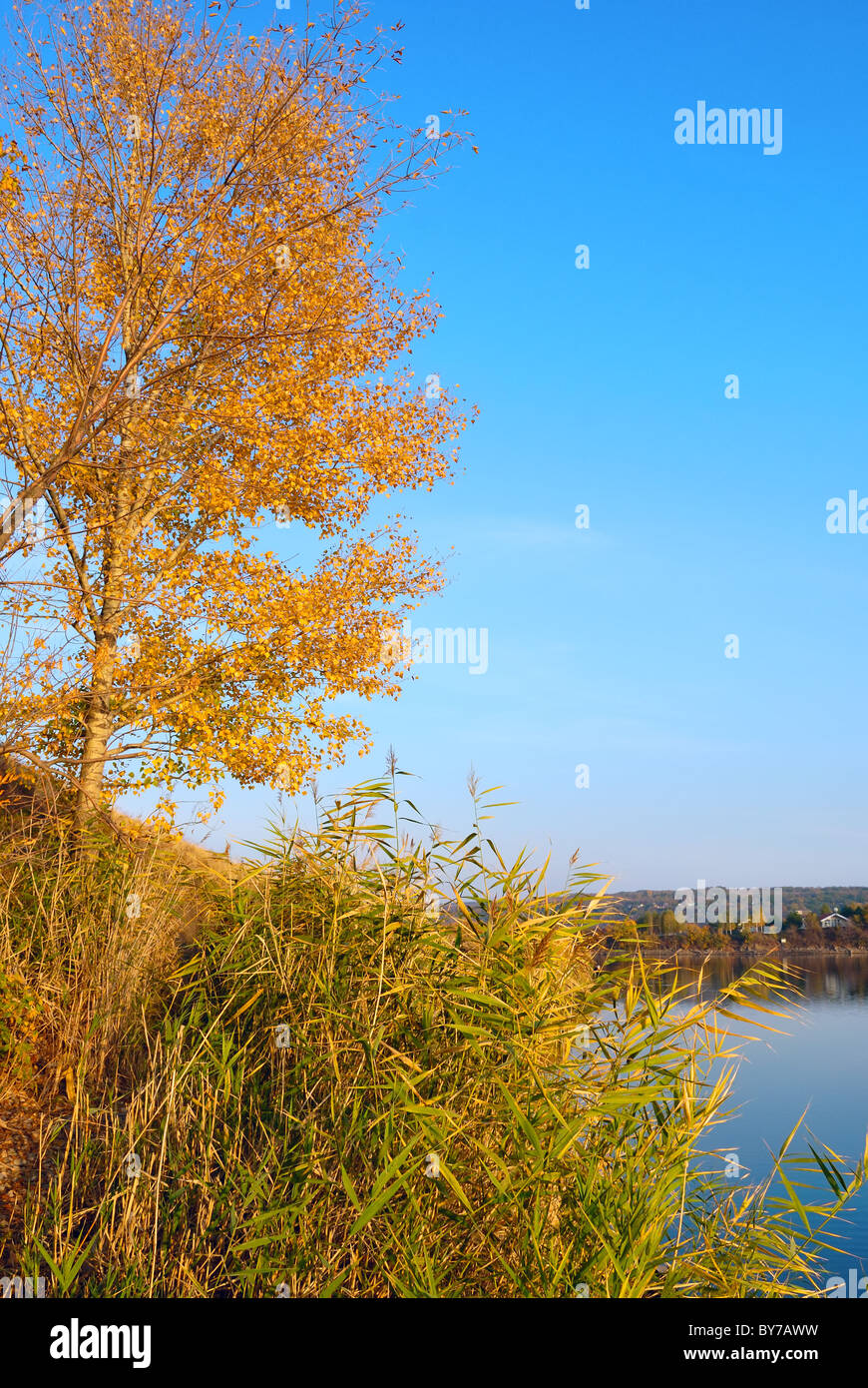autumn water landscape. nature Stock Photo - Alamy
