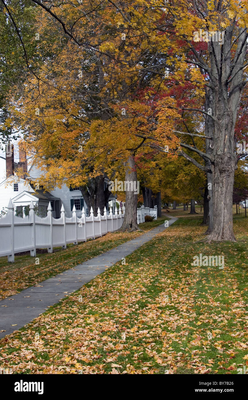 Commons benches hi-res stock photography and images - Alamy